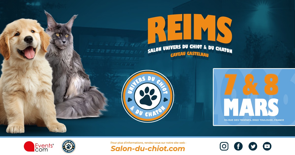 Sitemapcdatahttpwwwmixel Thicoipeinfosalon Du Chiot Rennesnull