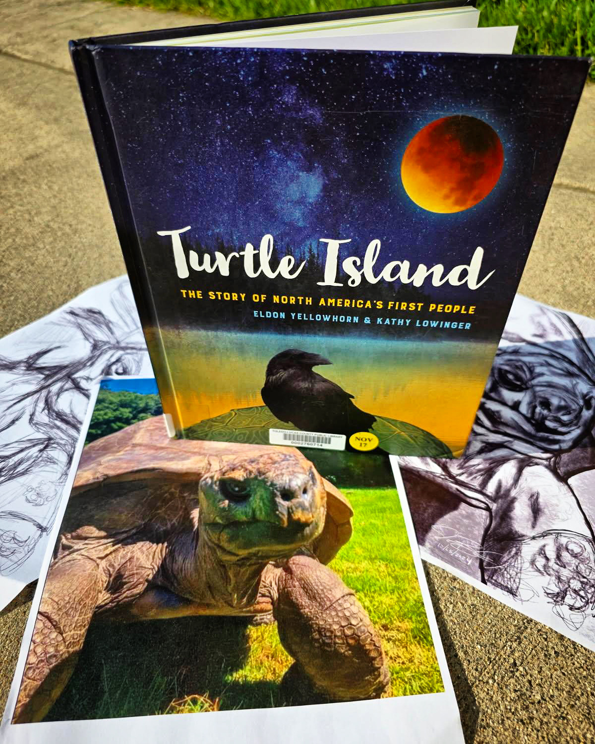 Toledo - Instarec by Stacy C Turtle Island: The Story of North America ...