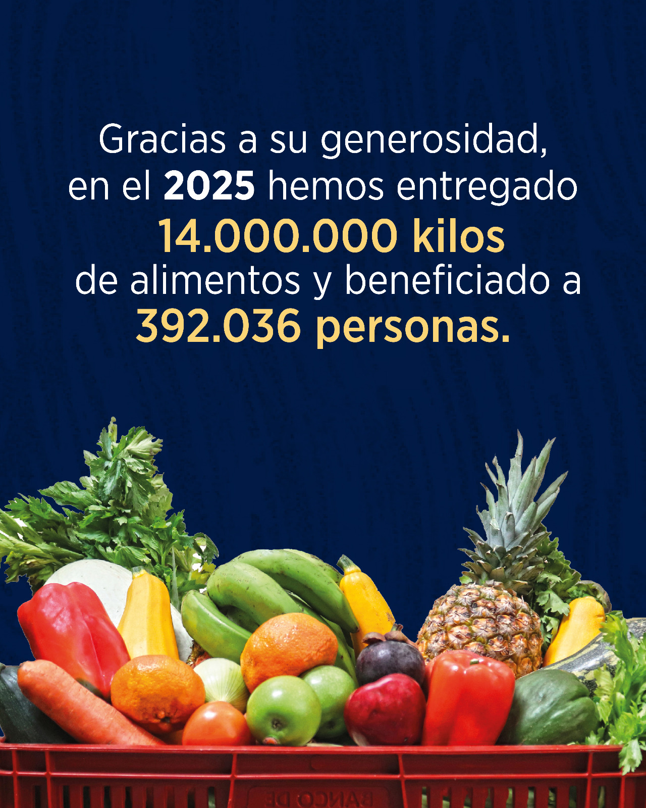 Banco De Alimentos De Bogotá