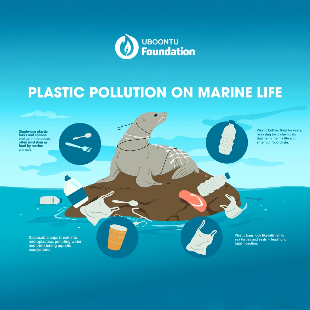 Uboontu - Plastic Pollution on Marine Life Every year, over 8 million ...