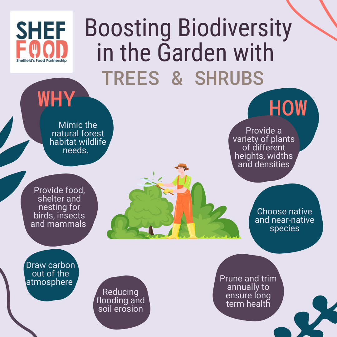 ShefFood - Last week we looked at how growing flowers help biodiversity ...