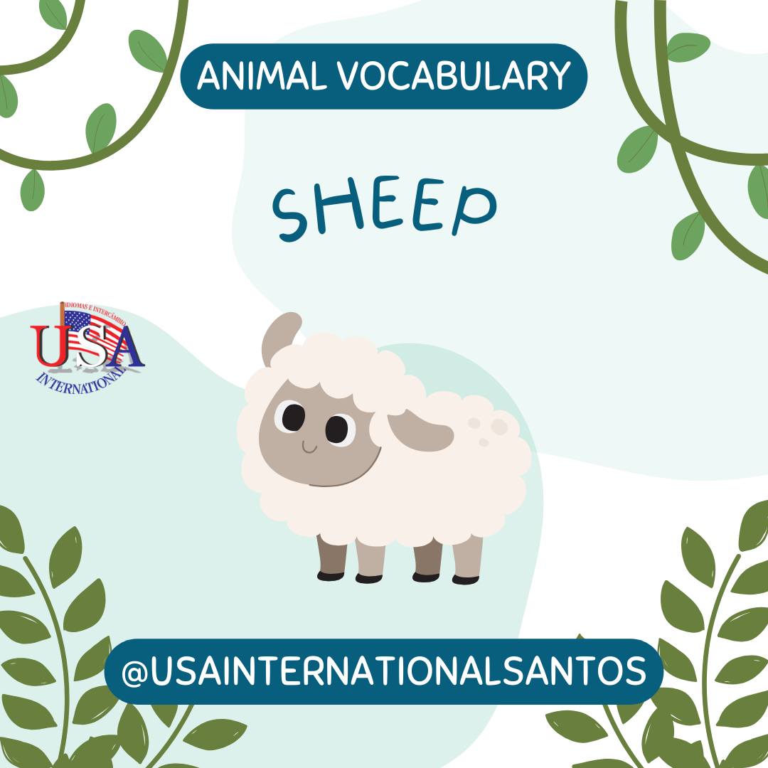 Usa - 🐑 Sheep Fun Facts! 🐑 Did you know that sheep have an amazing ...