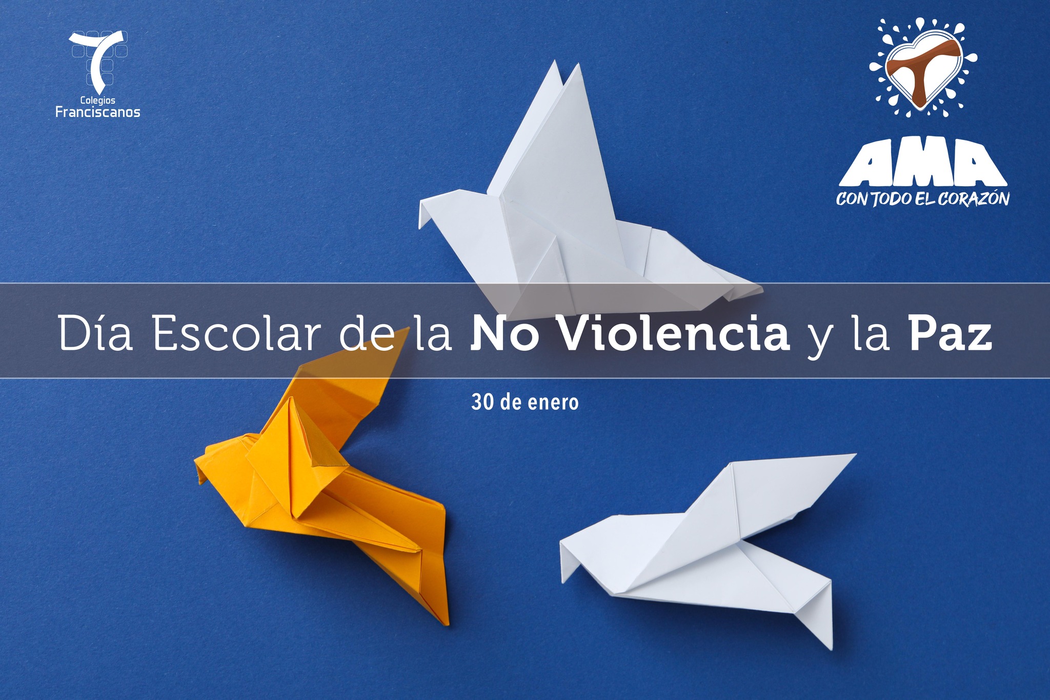 Colegios 🕊️ Día Escolar De La No Violencia Y La Paz 🌍 Educar En La 9343