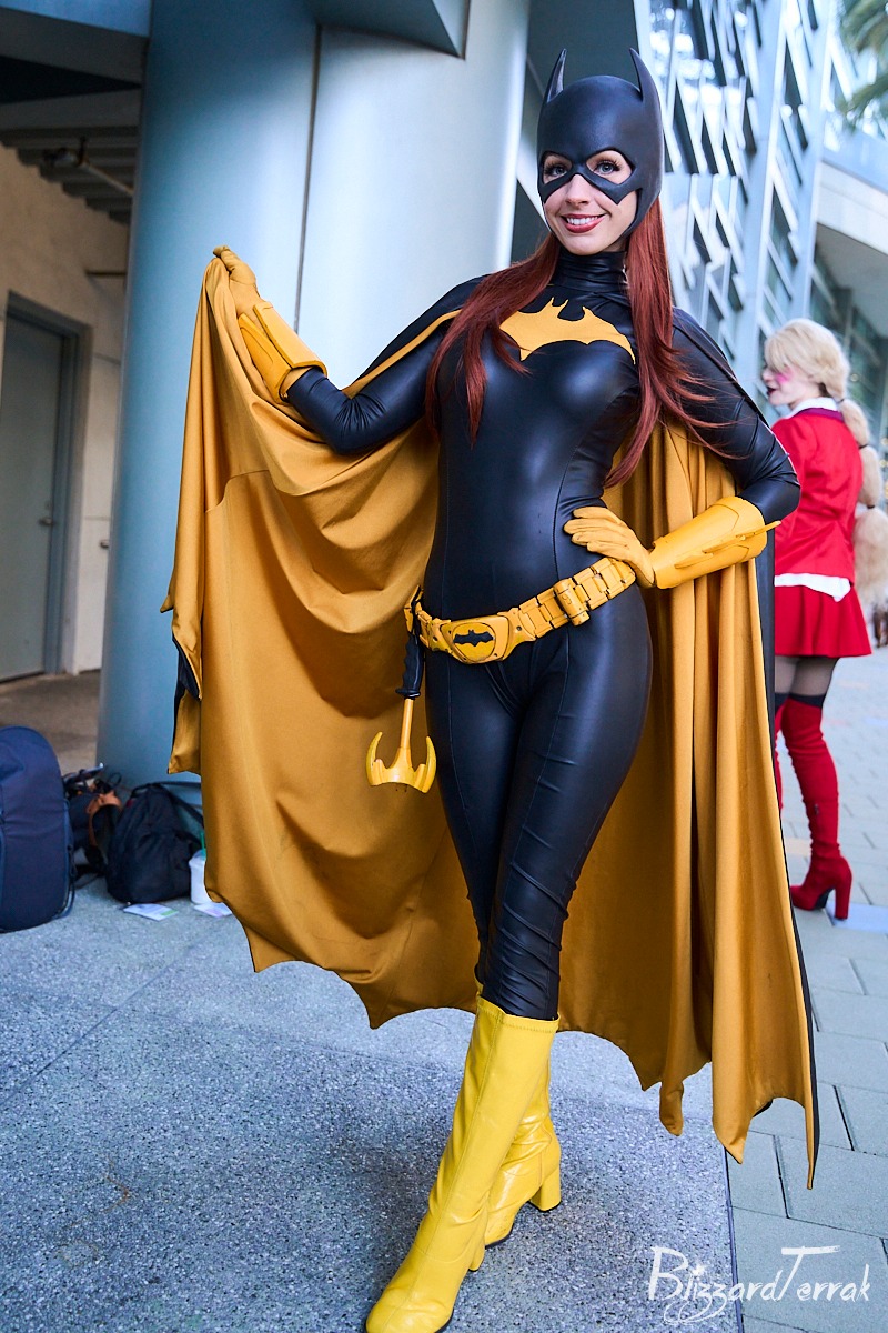 Blizzardterrak Batgirl Amanda Lynne Blizzardterrak Photography
