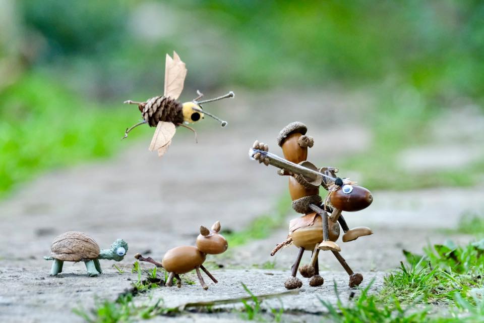 Adventures of the Acorn... - Adventures of the Acorn People