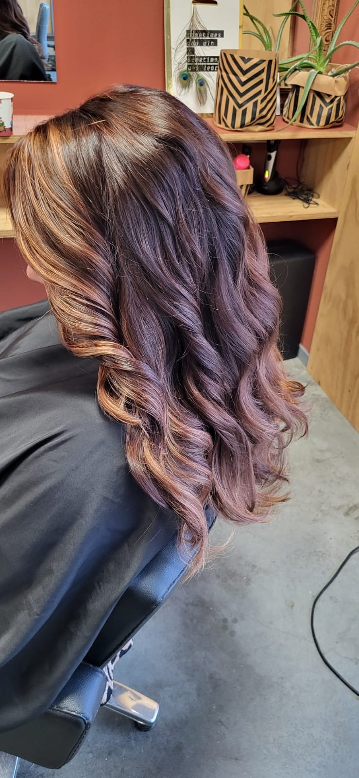 Star Salon Wilhelmshaven