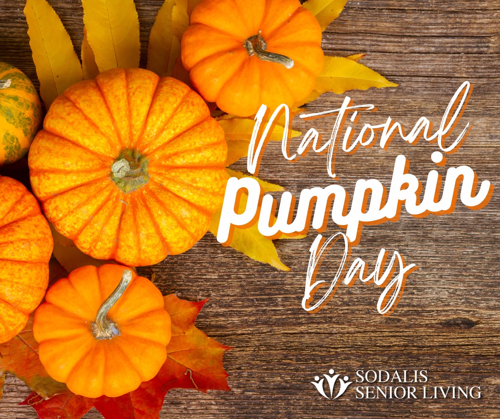 Sodalis - 🎃 It's National Pumpkin Day! 🎃 Today, we celebrate one of ...