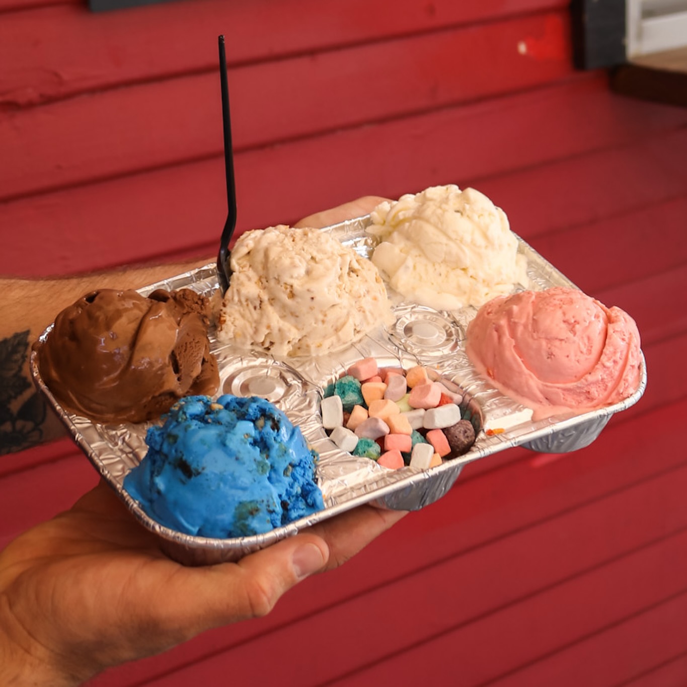 Novel Ice Cream | Phoenix AZ