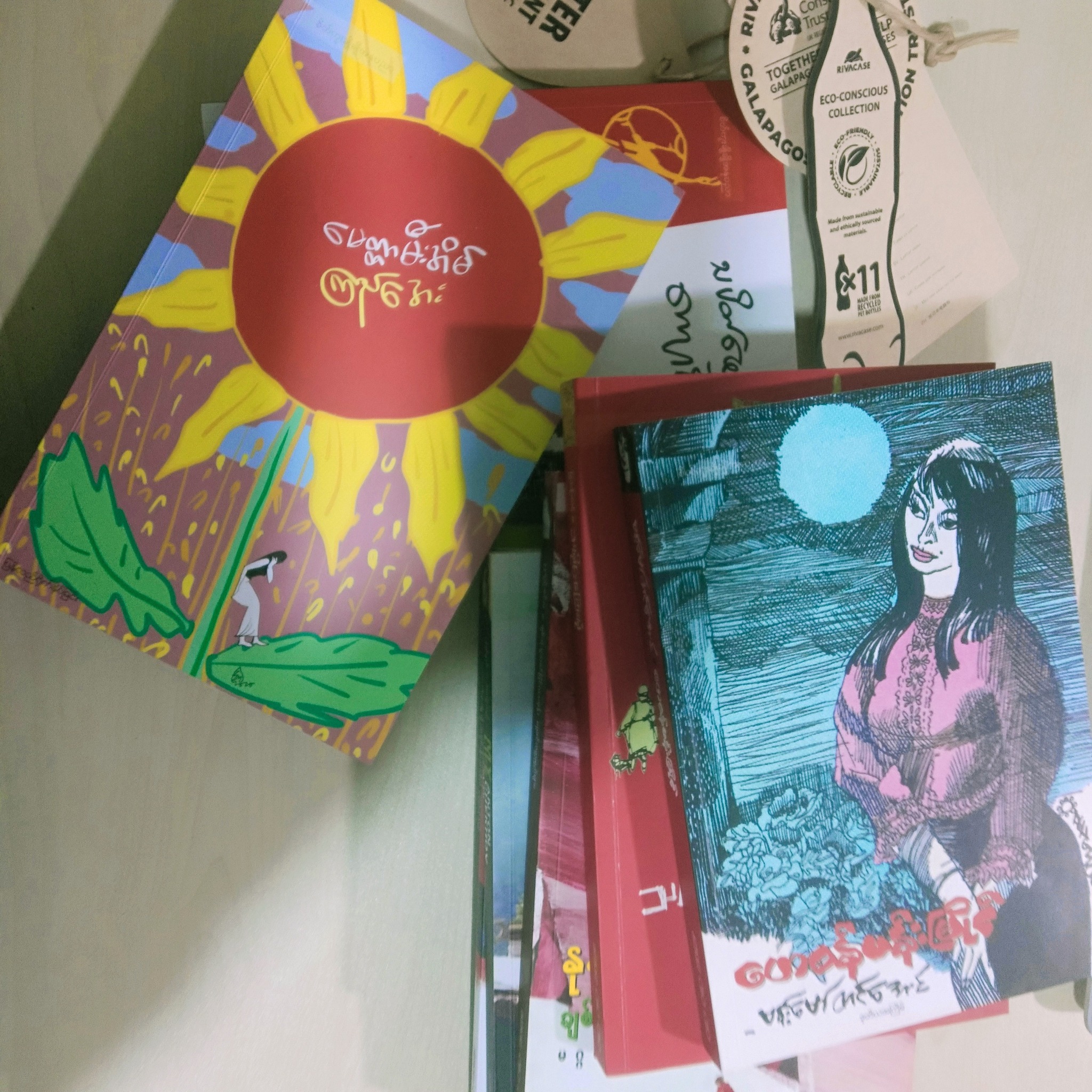 The Book Nest - This week I finished reading aloud Beyond the Bright ...