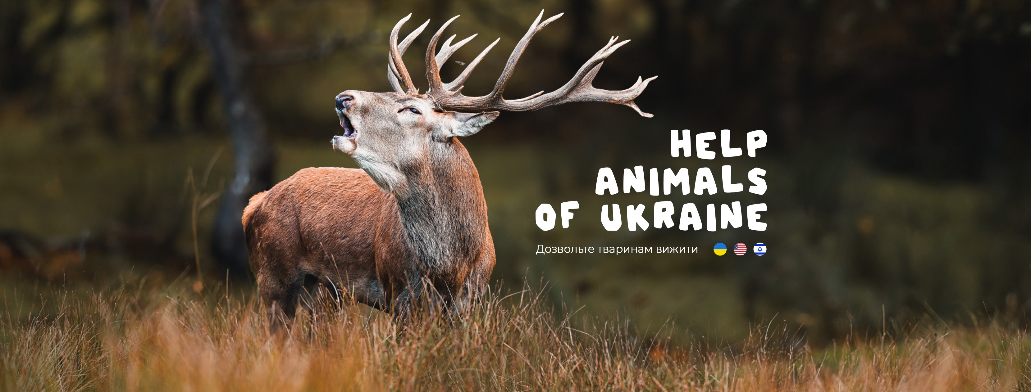 HAU - Help Animals Of Ukraine