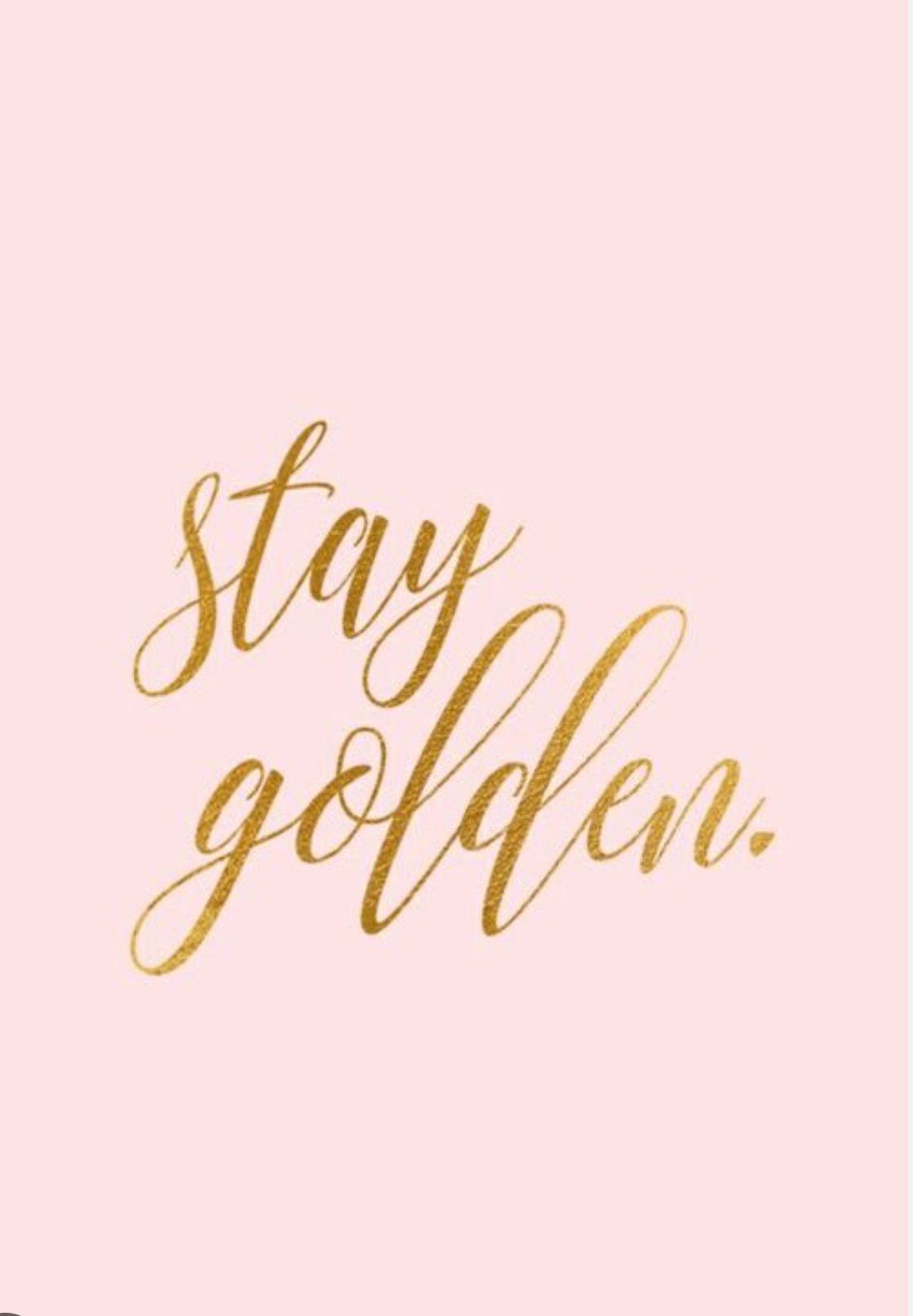 Goofy Golden Girls Added A New Photo Goofy Golden Girls