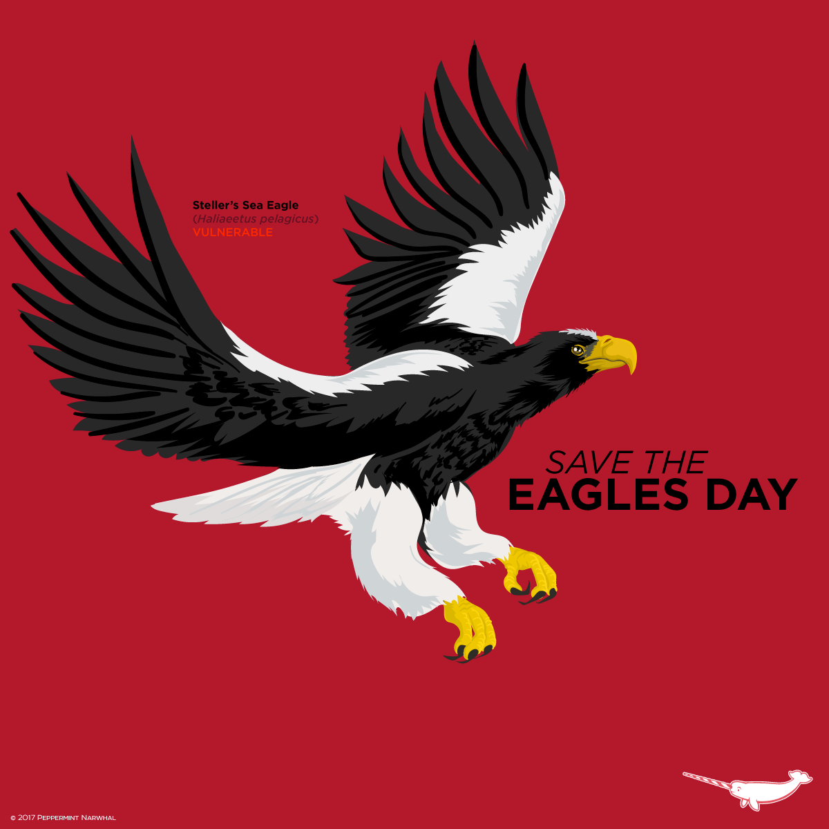 Happy Save the Eagles Day!... - Peppermint Narwhal Creative