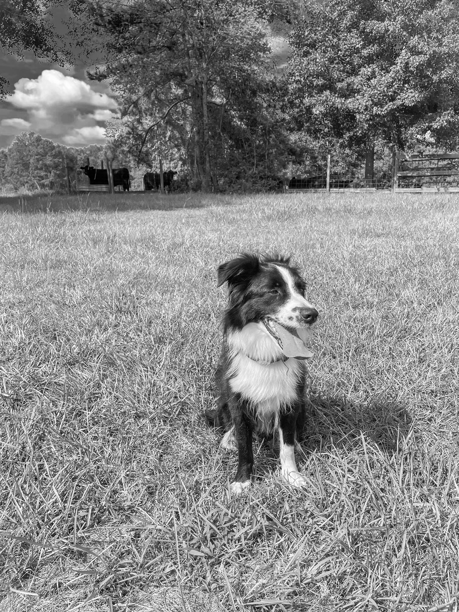 Ellie Mae Photography Updated Ellie Mae Photography