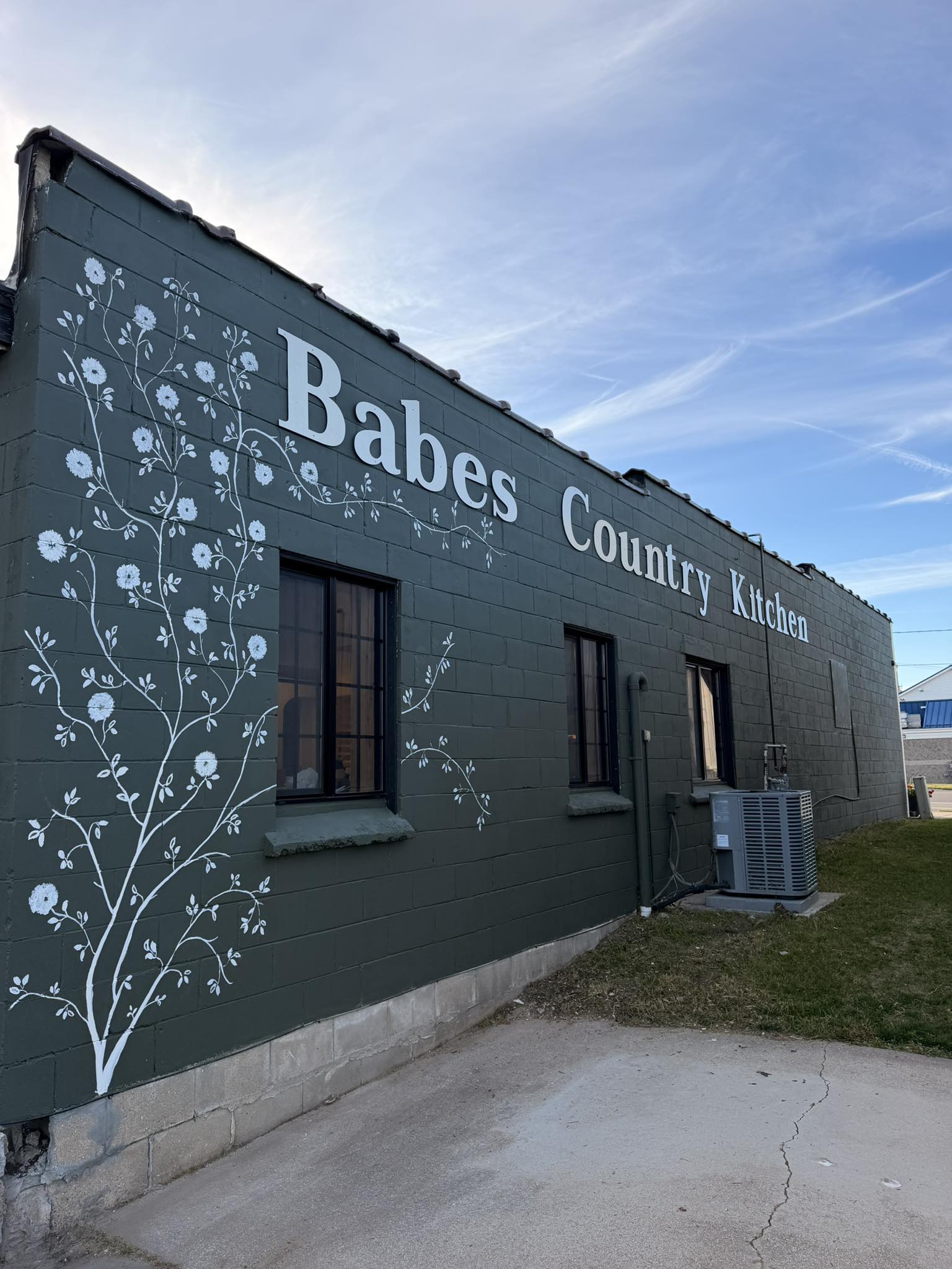 Babes Country Kitchen Harrison Mi