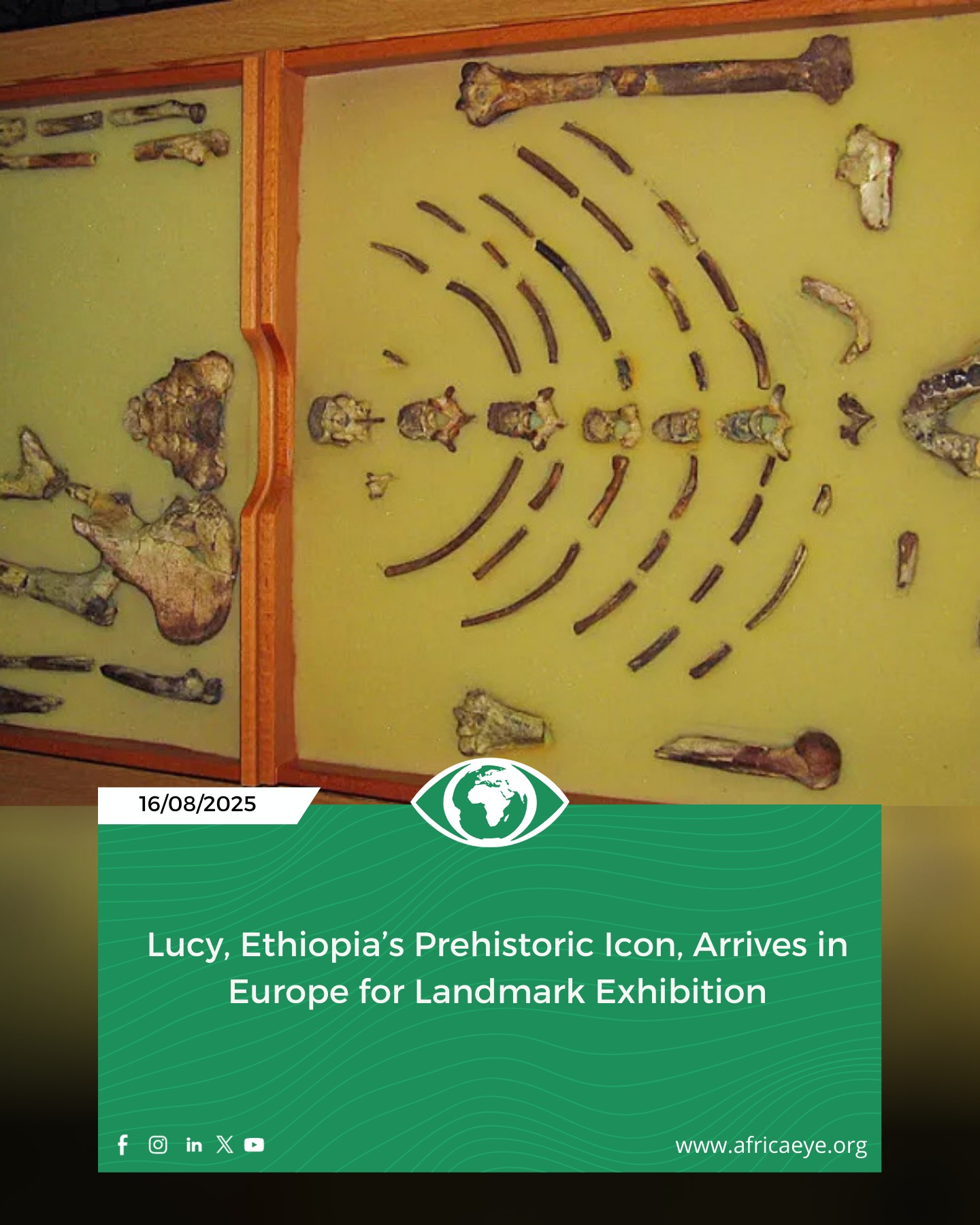 Africa - Lucy, the 3.2-million-year-old fossil that reshaped our ...