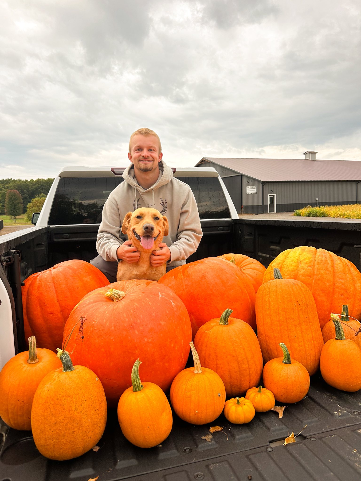 Petals and Pumpkins | Alma MI