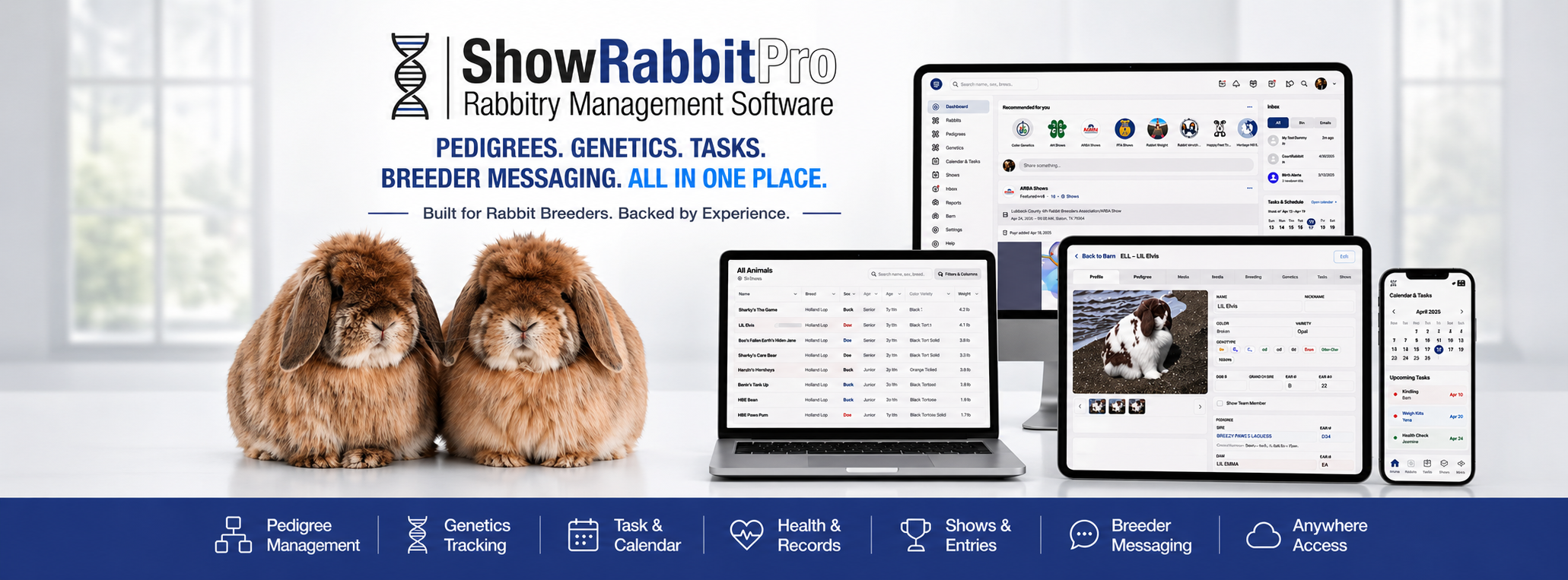 Show Rabbit Pro