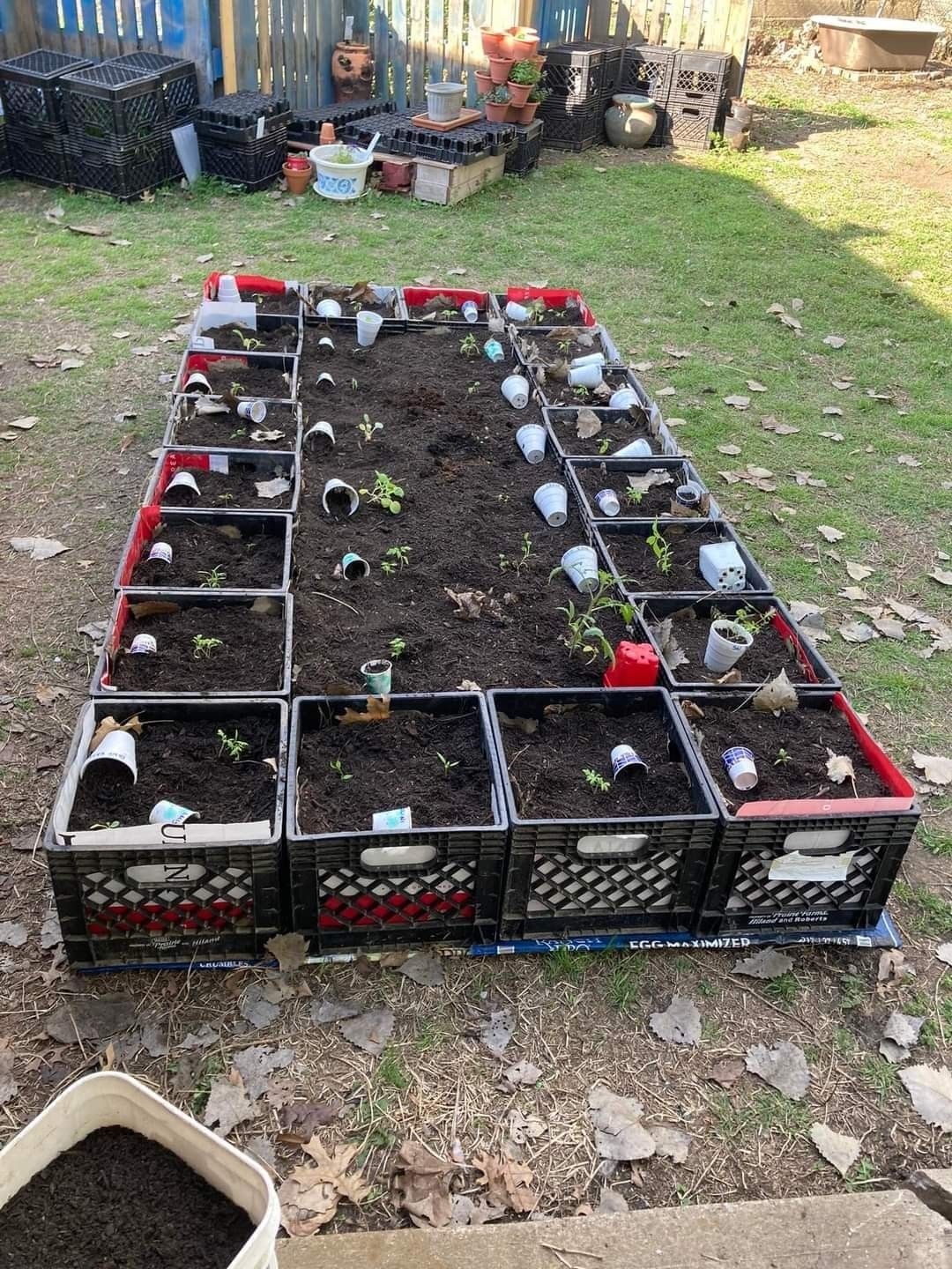 DIY - 🌱 First try at a container garden and I’m honestly pretty proud ...