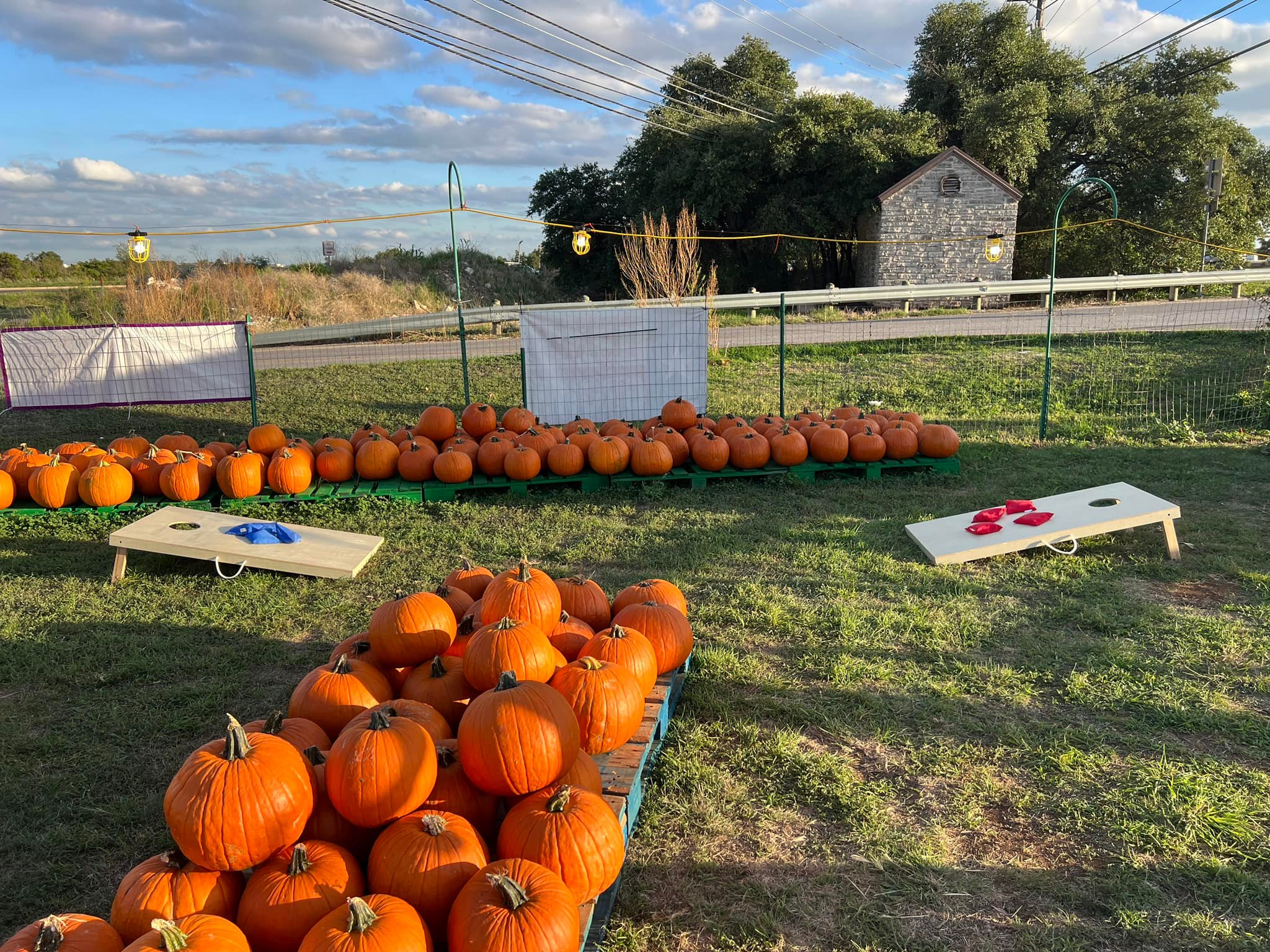 King of Kings Pumpkin Patch