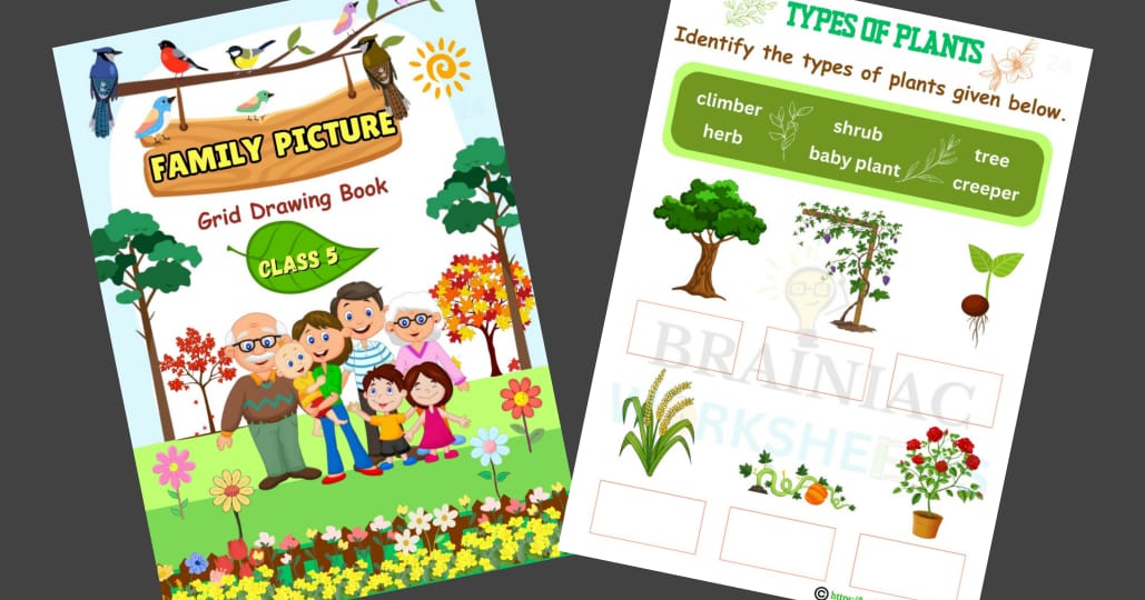 Types Of Plants Class 1 Science Brainiac Worksheets