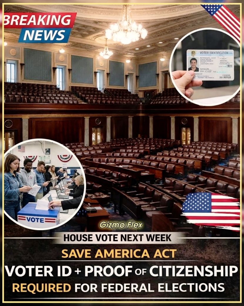 Gizmo - 🚨 SECURE ELECTIONS, PROTECT THE VOTE — THE HOUSE IS ABOUT TO ...
