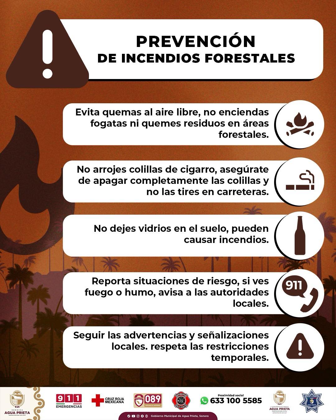 Gobierno Aproximadamente 90 De Los Incendios Forestales Son 3224