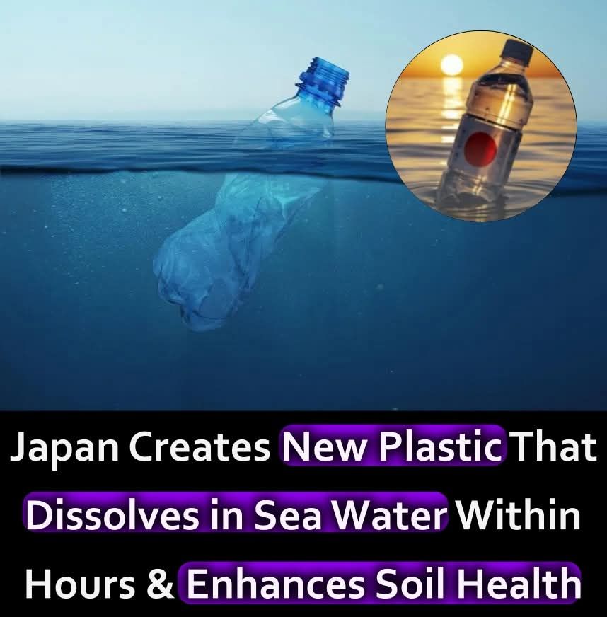neil degrasse tyson | Japan develops plastic that disappears within ...