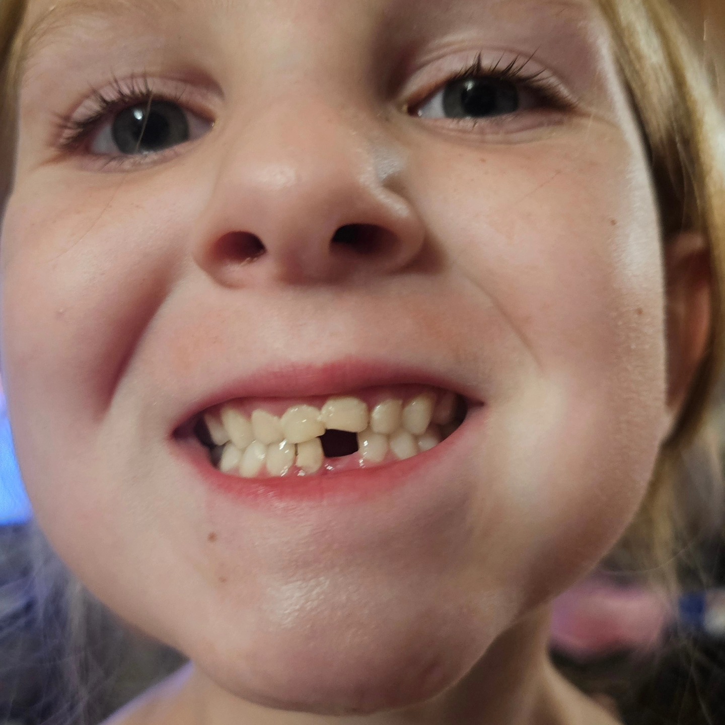 Mainland We Didnt Go Trick Or Treating Tonight But The Tooth Fairy