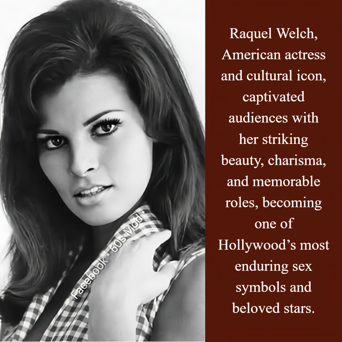 Flashback Raquel Welch Achieved International Fame In The 1960s With