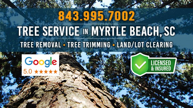 Great Description About Tree Service Myrtle Beach Sc