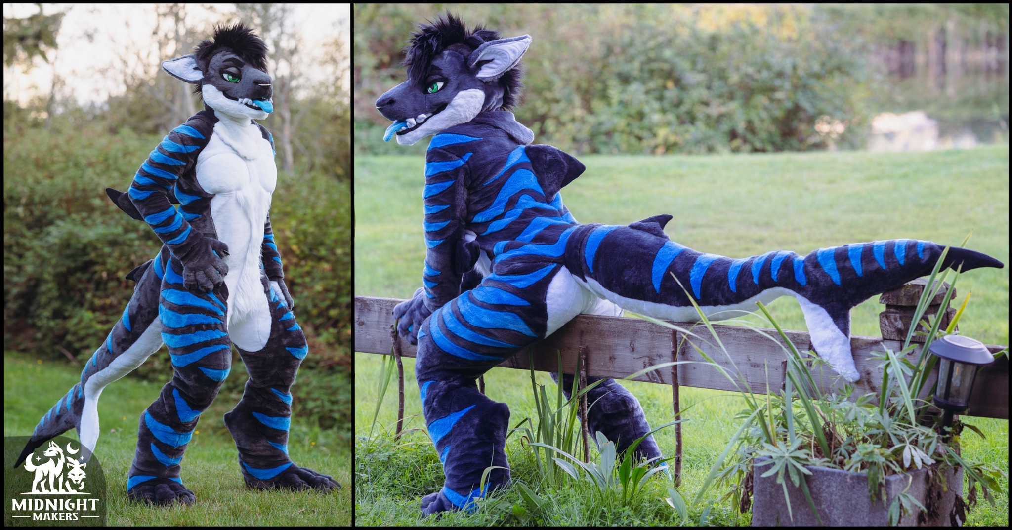Midnight Fullsuit Commission Complete For Ziggy The Shark Join Our