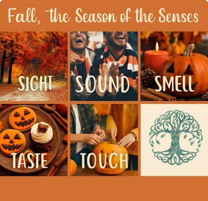 Julie - 🍂 Fall, the Season of the Senses 🍂 One of the reasons fall ...