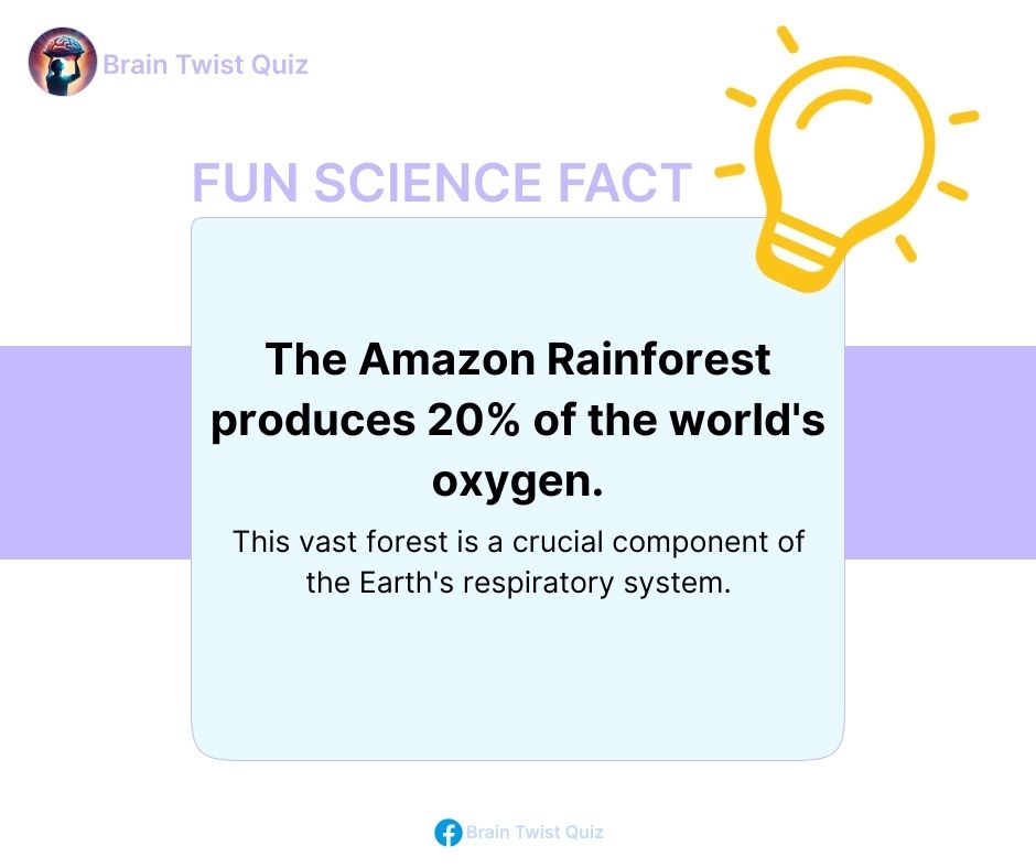Brain - Discover Fascinating Science Fun Facts! 🔬 Dive into the wonders ...