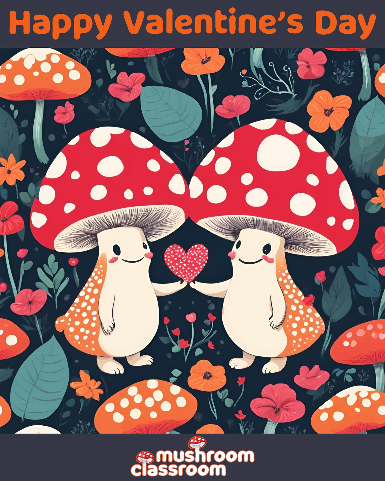 Mushroom Classroom | Denver CO