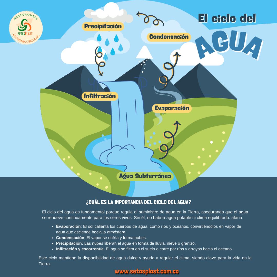 SetasPlast - 🌎💧 El Ciclo del Agua: Esencia de la Vida 💧🌎 El ciclo del ...