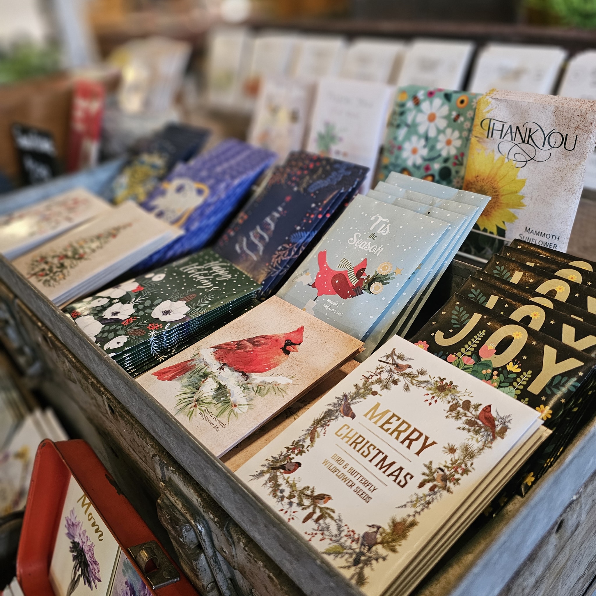 Seed - New Christmas seed packets are in! These seed packets have been ...