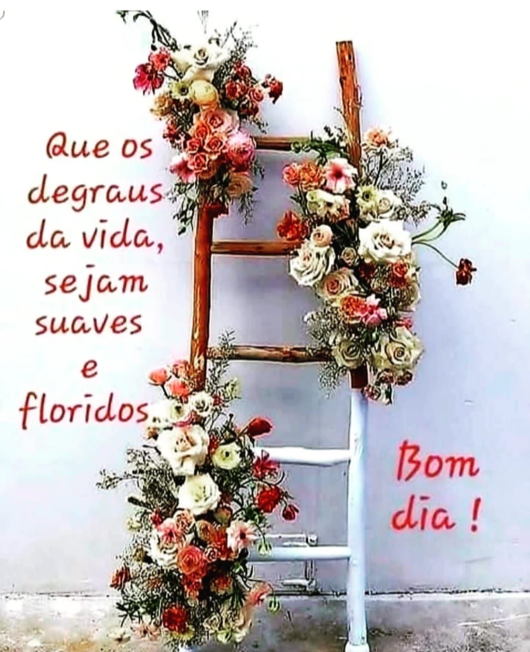 Maria De Lourdes De Jesus Melo 0250