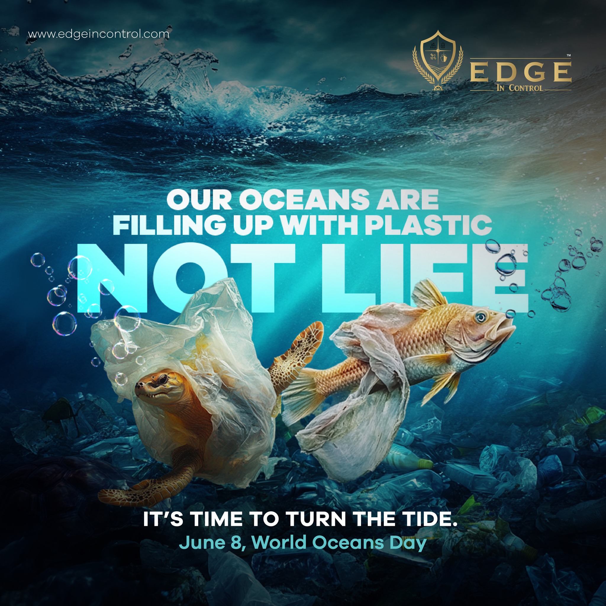 EDGE - Did you know that 12 million metric tons of plastic enter our ...