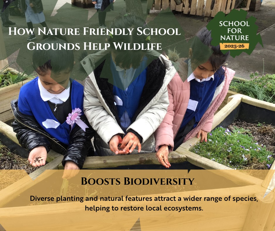 Schools For Nature