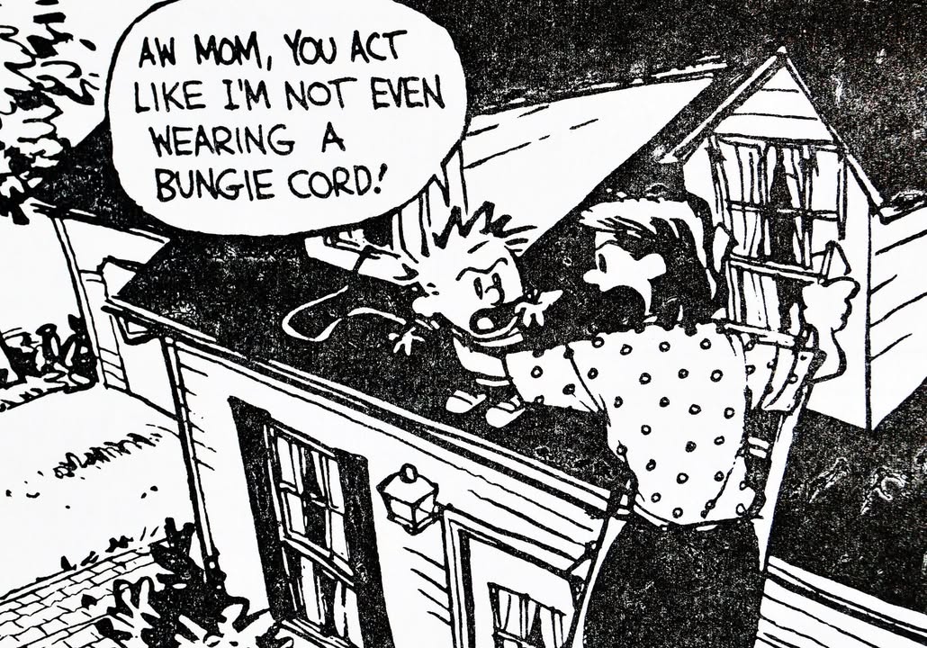 Comic - Everything Calvin & Hobbes 🤭🤣😂 #dennisthemenace #comicstrips # ...