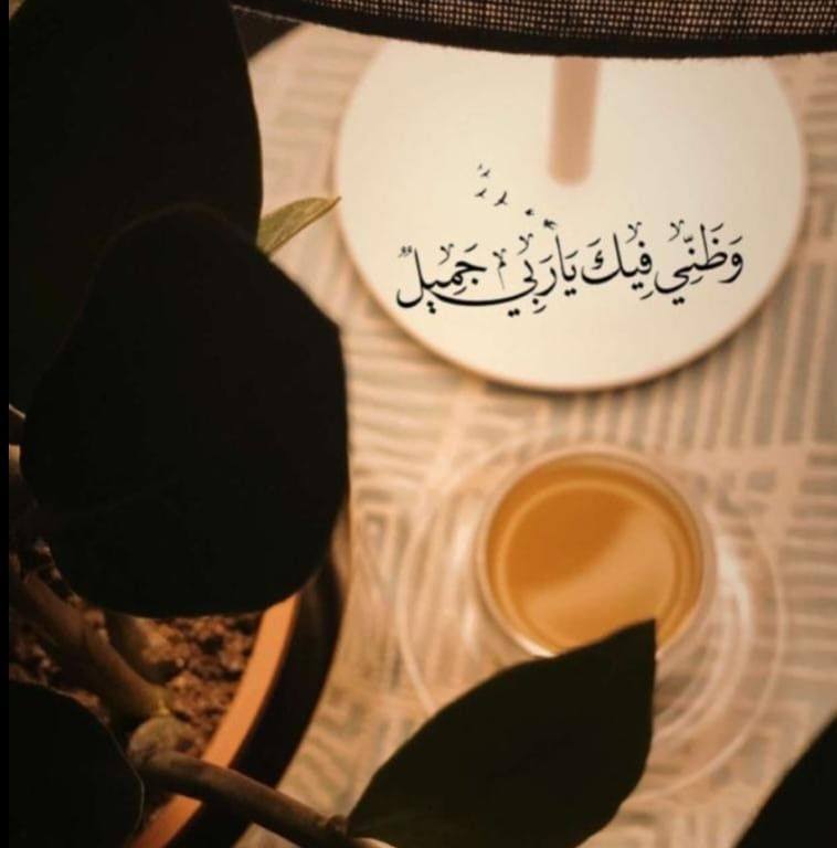 Ayat Ali - 🍓 كورس الإنجليزي 🍓 بالنسبه للانجليزي موجود ثلاث... | Facebook