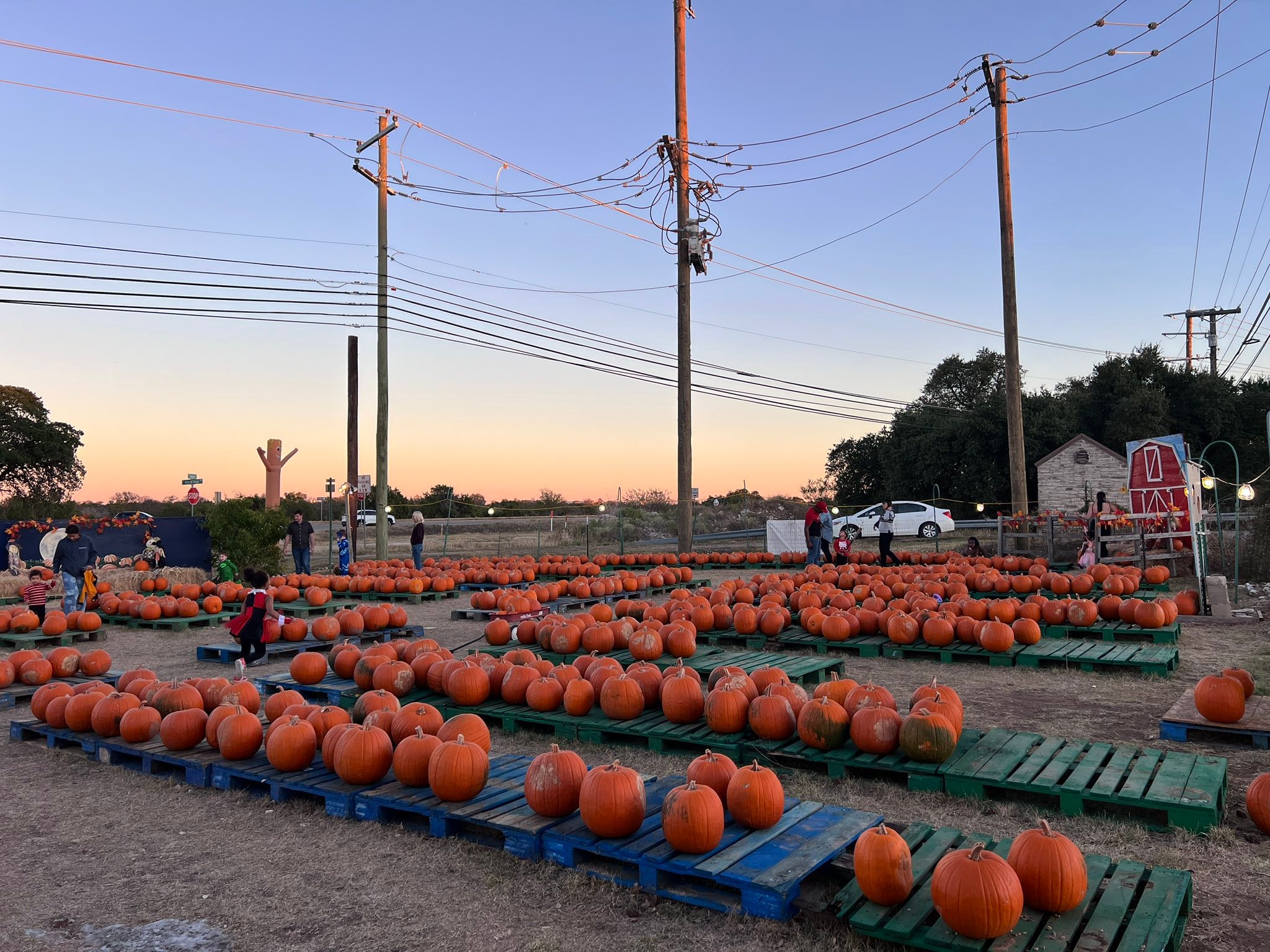 King of Kings Pumpkin Patch