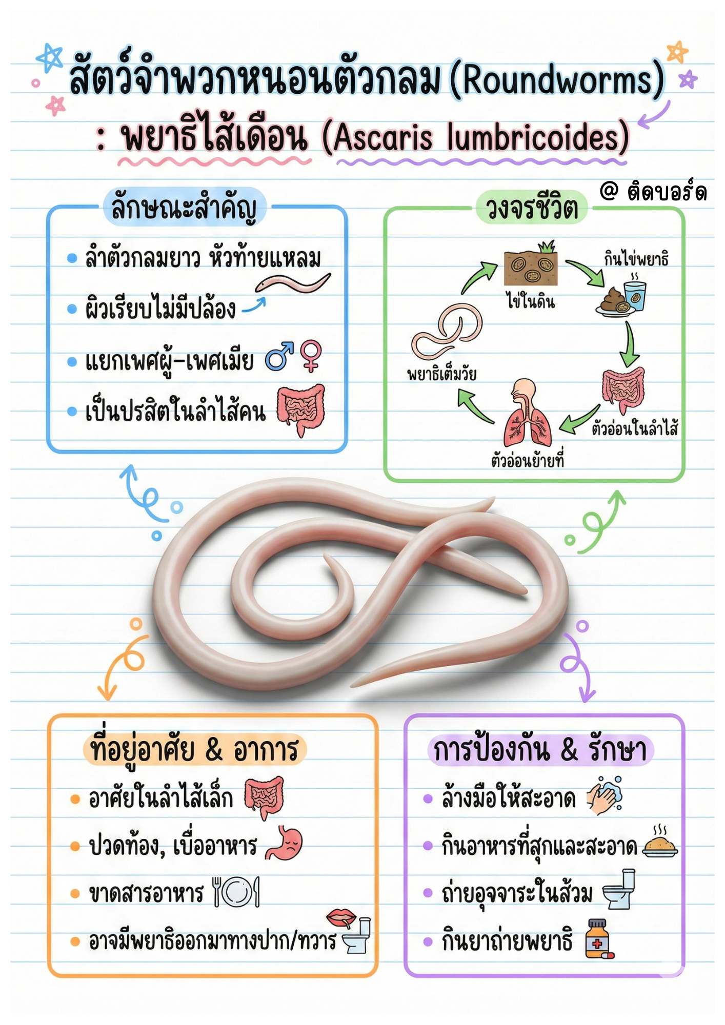 ติดบอร์ด - 📣ติดบอร์ด 📝แบ่งปันพยัญชนะไทย ทั้ง 44 ตัว... | Facebook