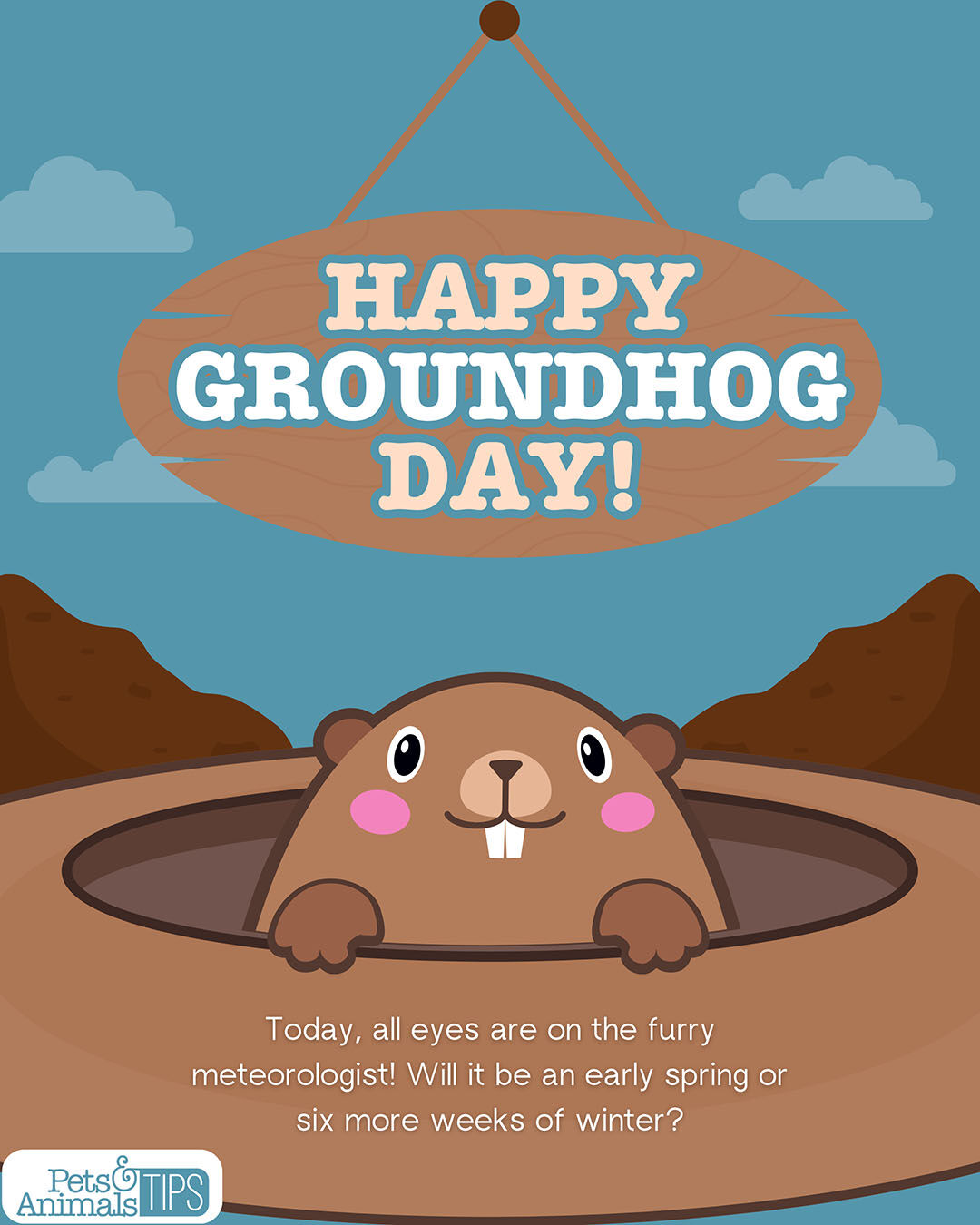 Pets - 🦫 Happy Groundhog Day! Here are some wild facts about this ...