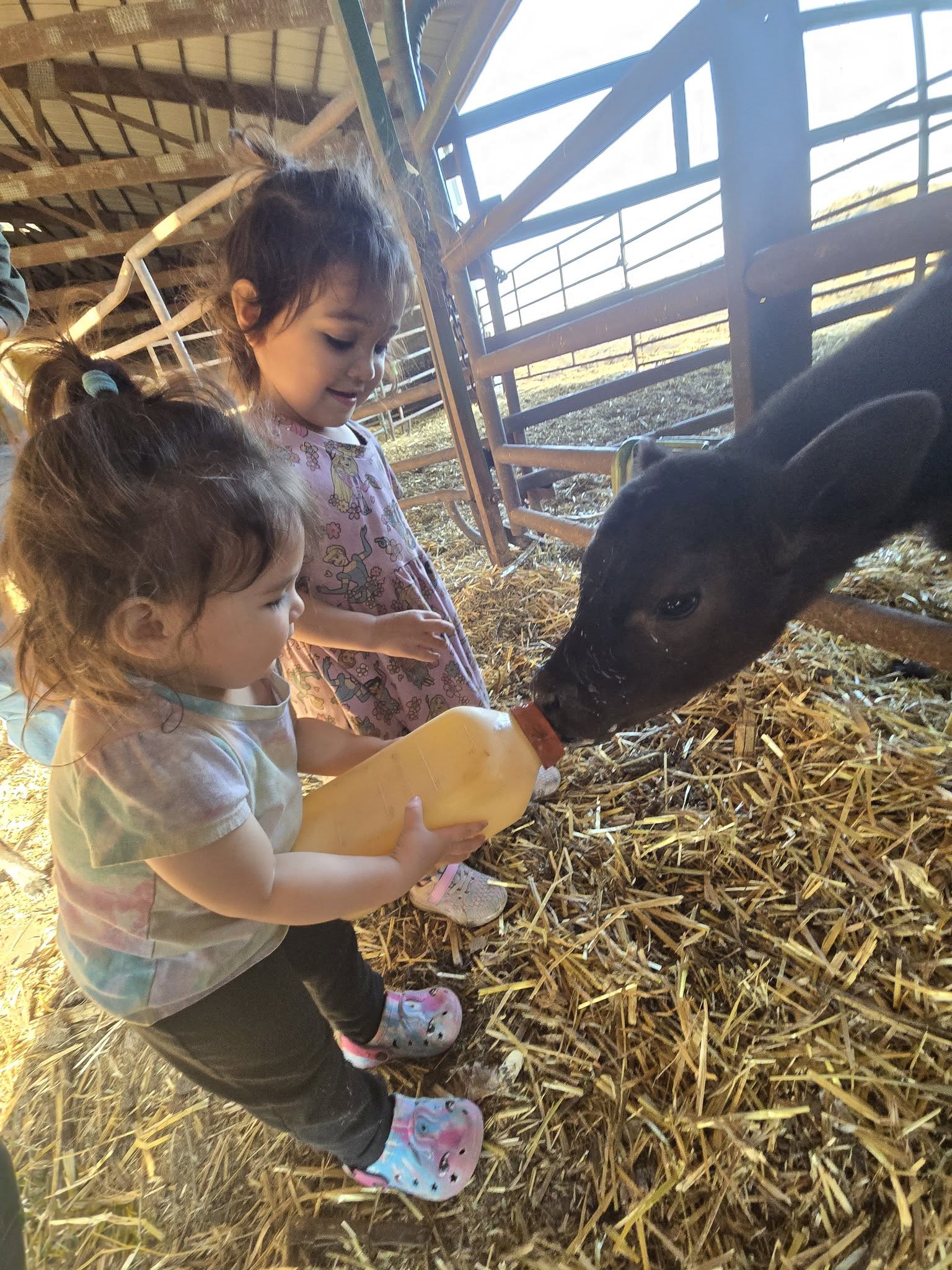 Midwest Cattlemens Midwest Cattlemens Association