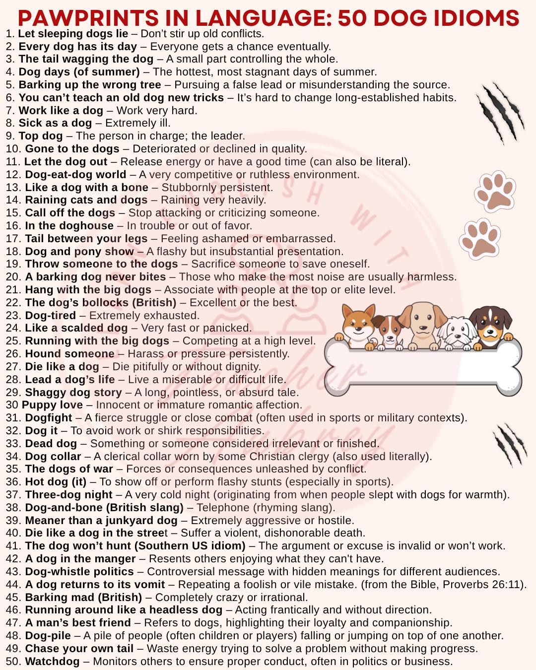 Learn - PAWPRINTS IN LANGUAGE: 50 DOG IDIOMS 📝🐶 # ...