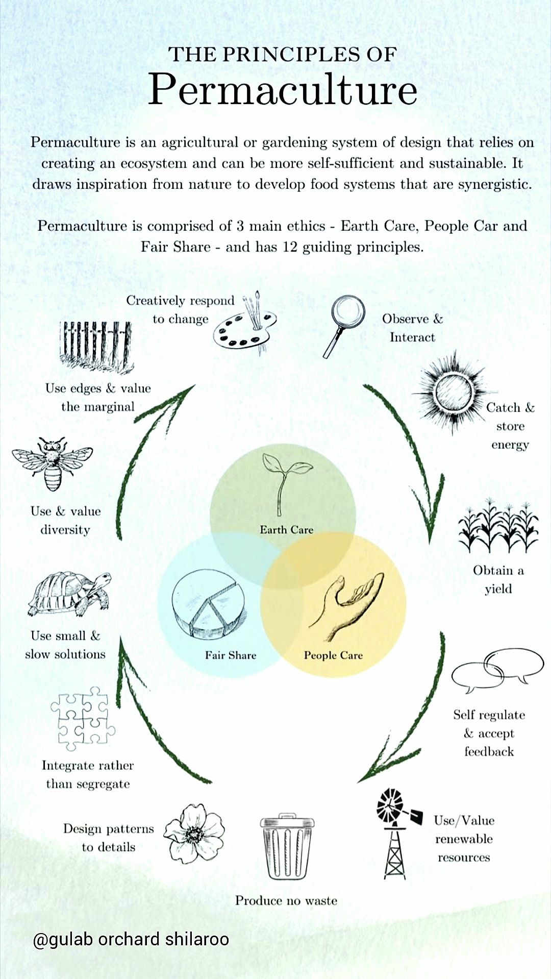 Gulab - 🌿 The Principles of Permaculture: A Guide to Sustainable Living ...