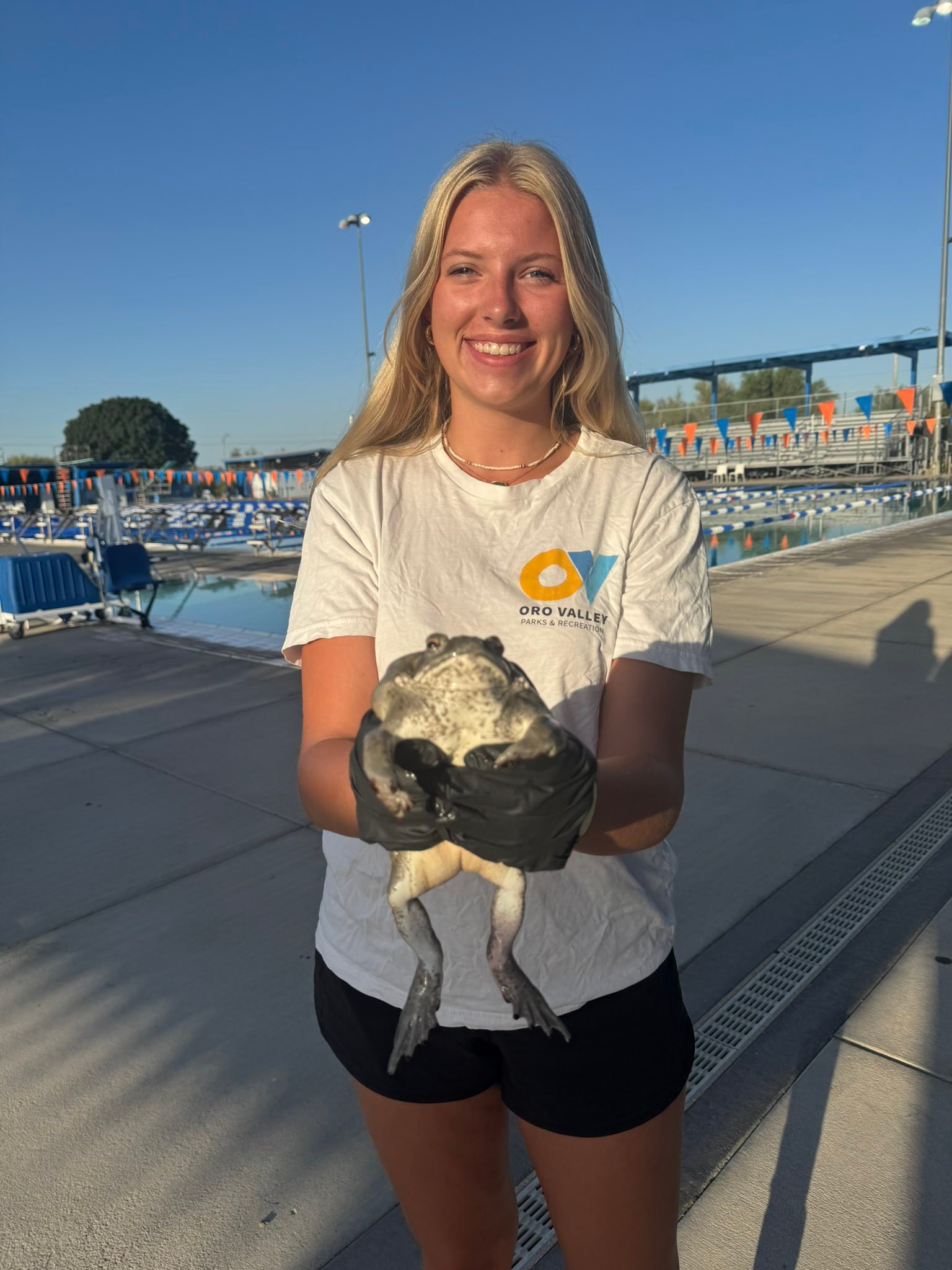 Oro Valley Parks And Oro Valley Parks And Recreation