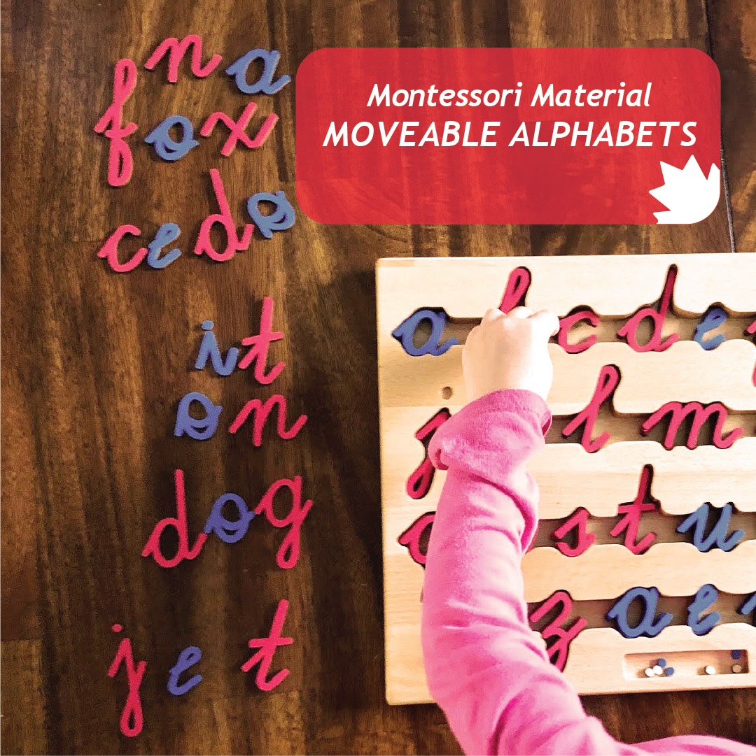 🌟 Unlocking Language Wonders... - Canadian Montessori Academy | Facebook
