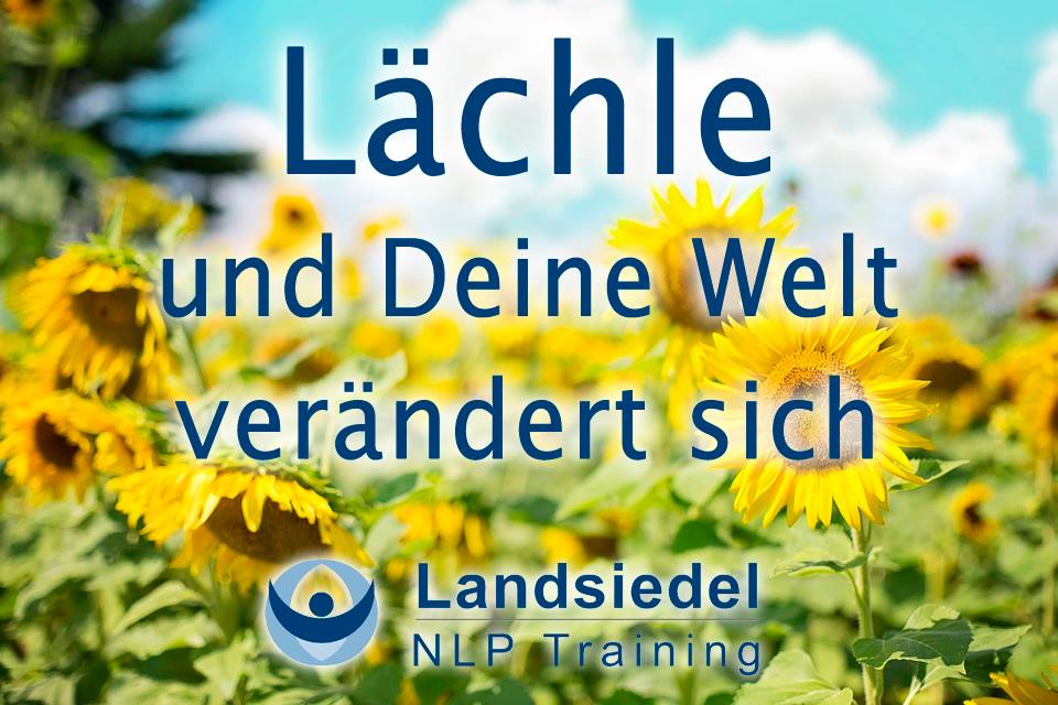 Landsiedel Nlp Training Added A Landsiedel Nlp Training 8980